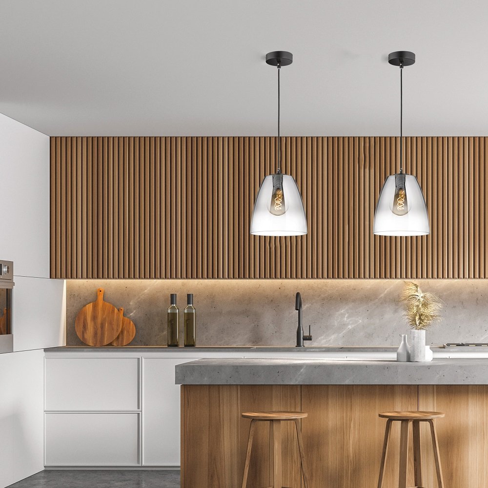 Fischer & Honsel 60840 Pendelleuchte Miro schwarz Glas rauchfarben klar ...