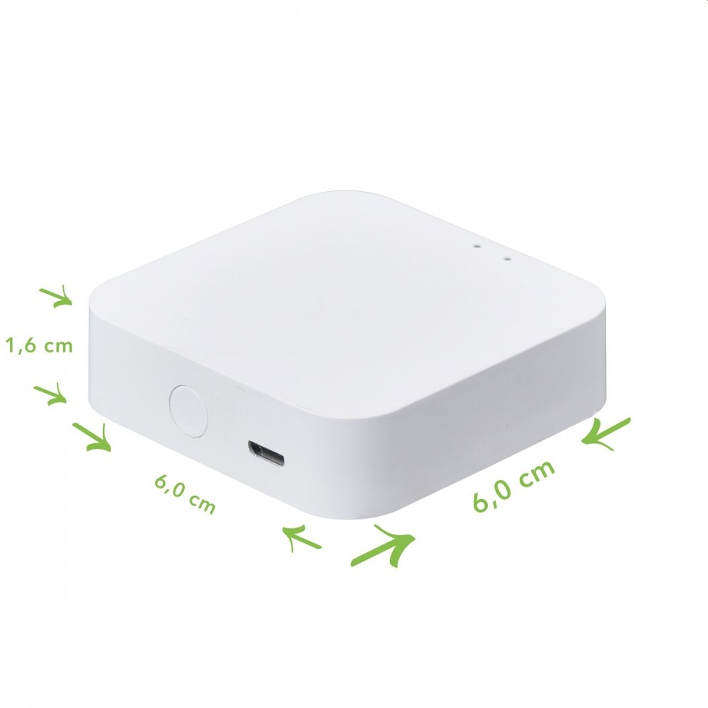 Lutec Access Box 9704401361 Tuya Bridge für Lutec connect ECO Light ...