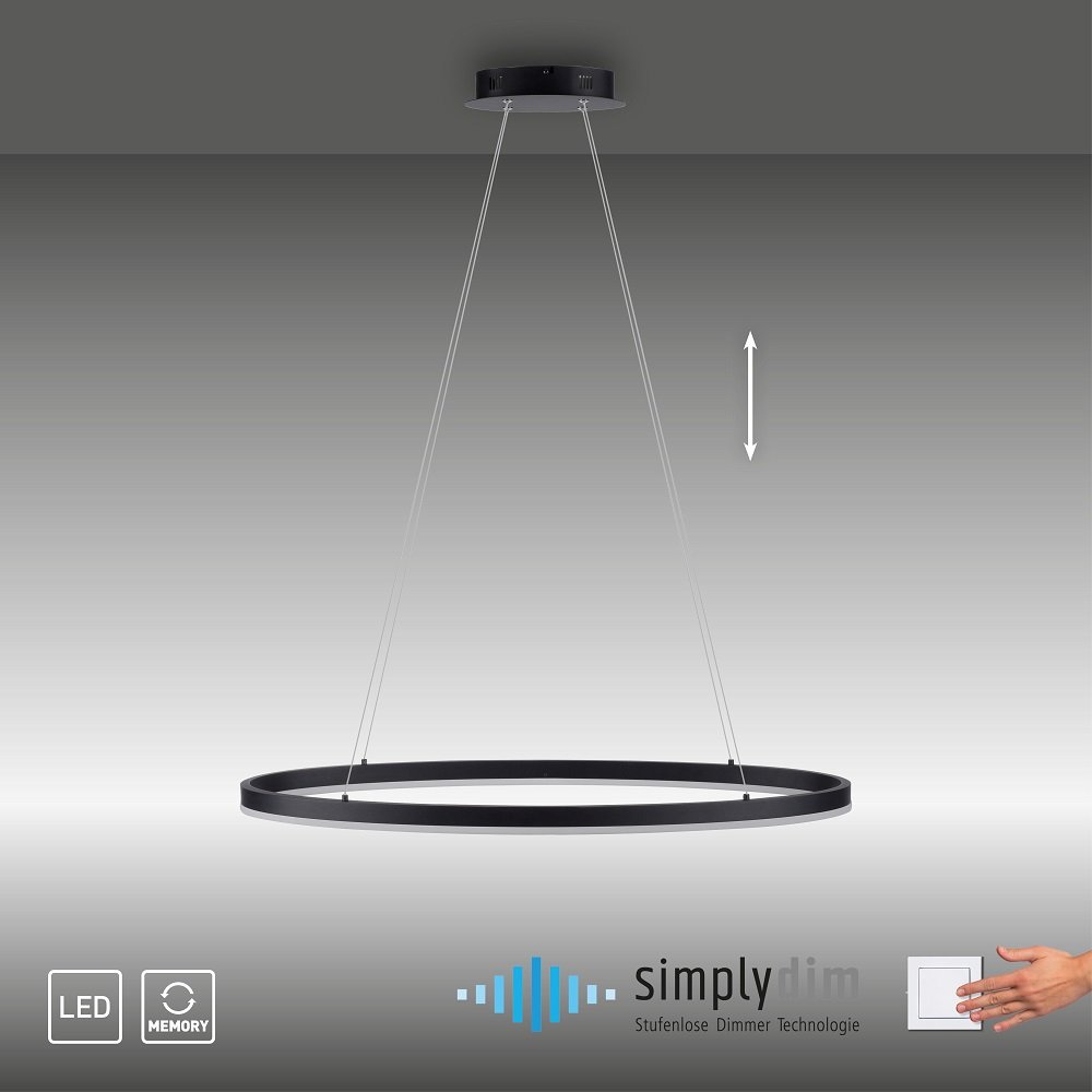 Paul Neuhaus 2392-13 Titus oval LED Pendelleuchte 80cm anthrazit Simply ...