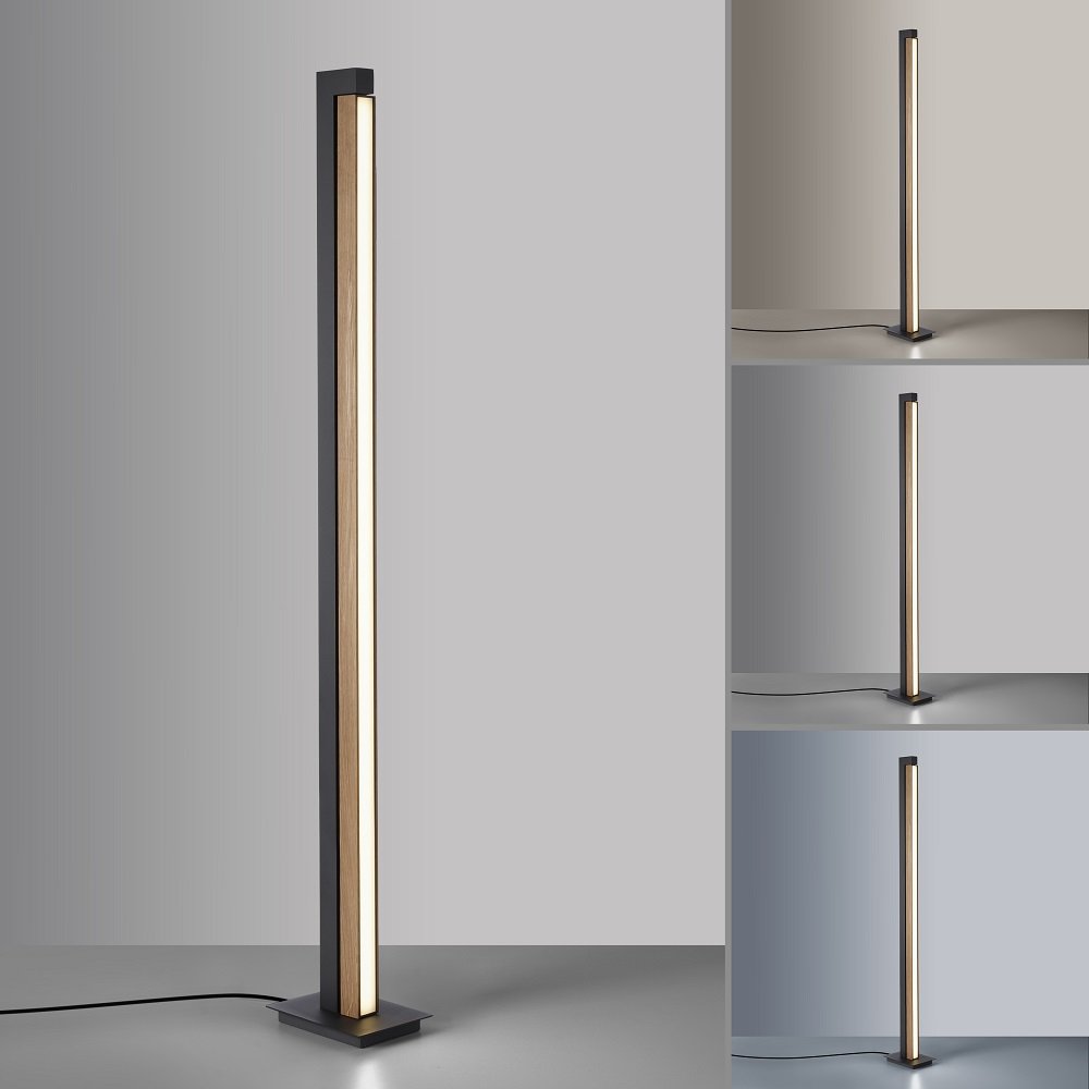 Paul Neuhaus 451-79 PURE-LINES LED Stehleuchte oak graphite CCT ...