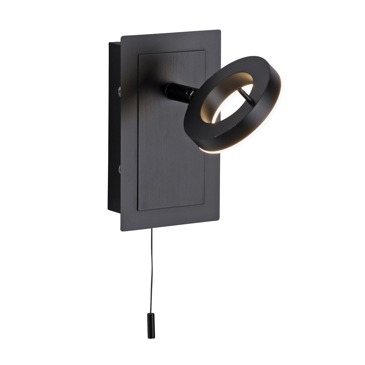 Paul Neuhaus 9785-13 SILEDA Wandleuchte 1-flammig Anthrazit ...